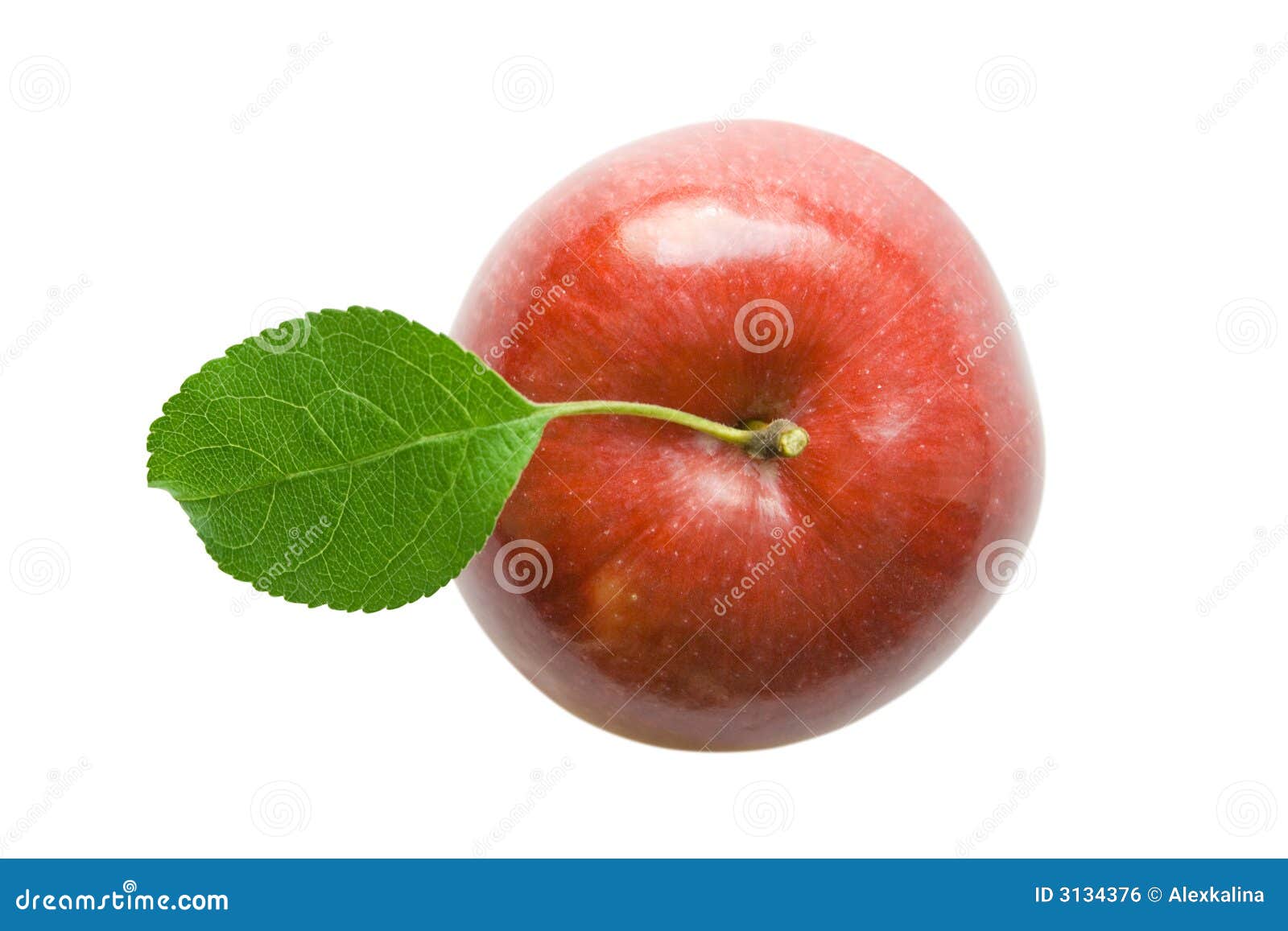 Red apple stock photo. Image of healthy, food, nature - 3134376