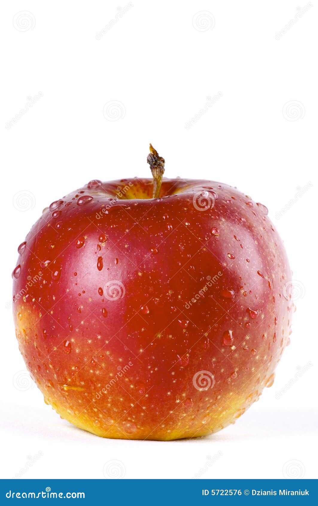 Red apple stock photo. Image of apple, eating, appetite - 5722576