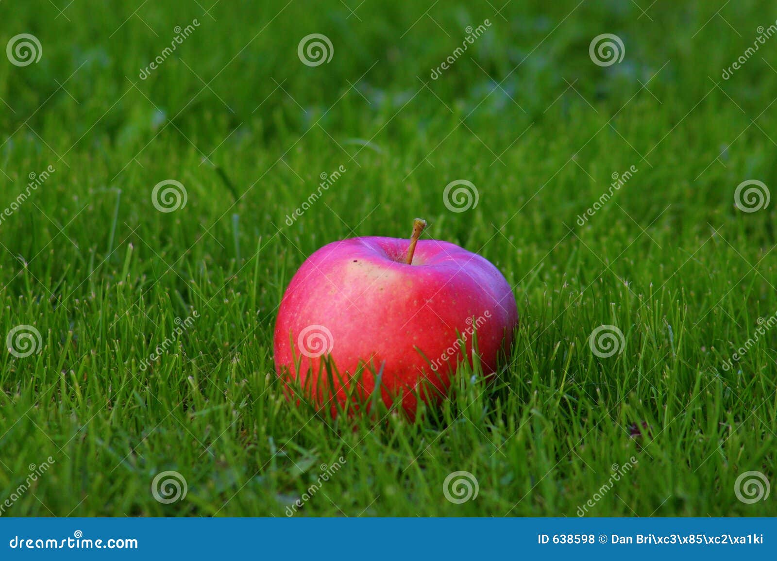 Red apple stock photo. Image of natural, juicy, reen, food - 638598