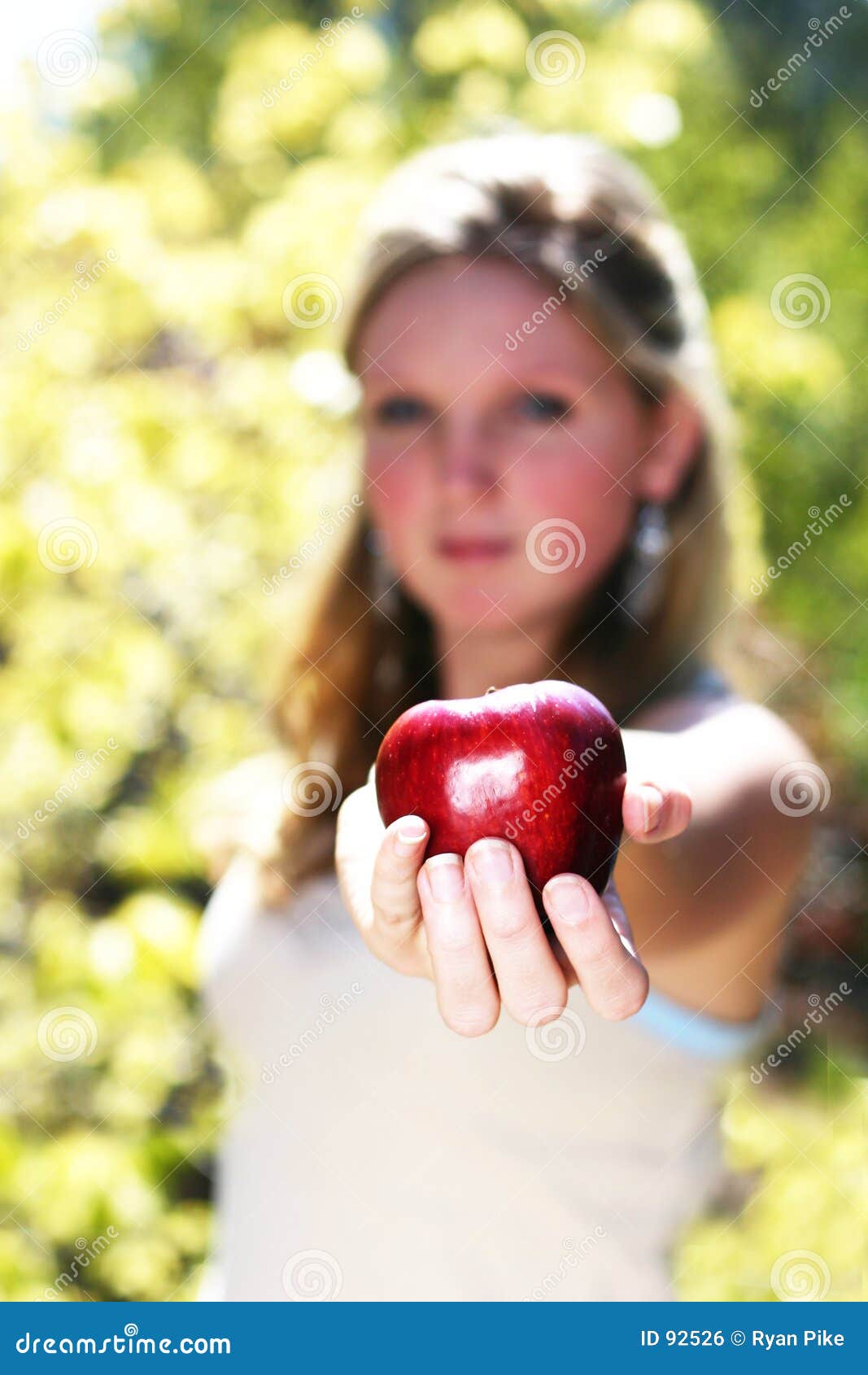 Red apple stock photo. Image of chomp, edible, give, fruit - 92526