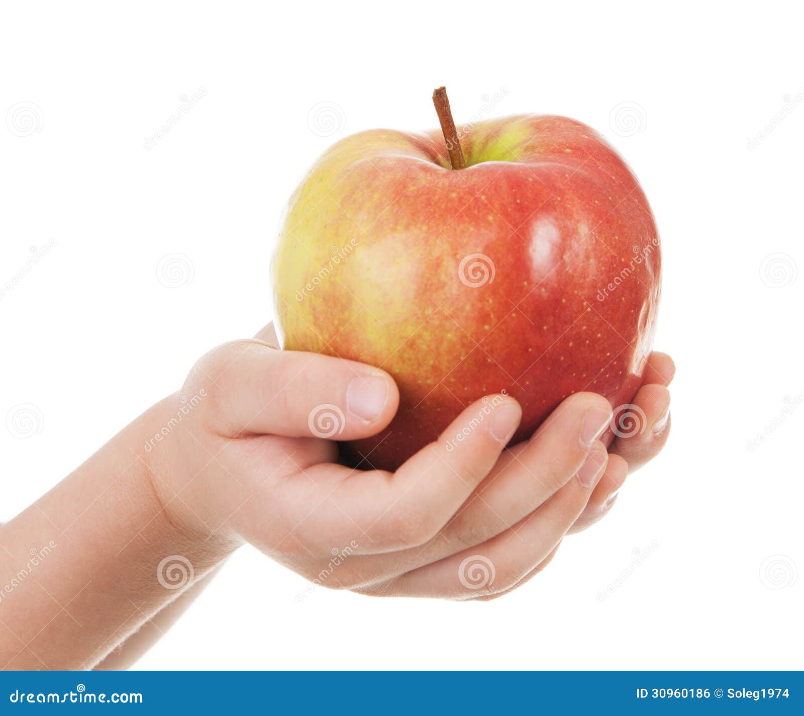 Red apple in child hands stock photo. Image of apple - 30960186