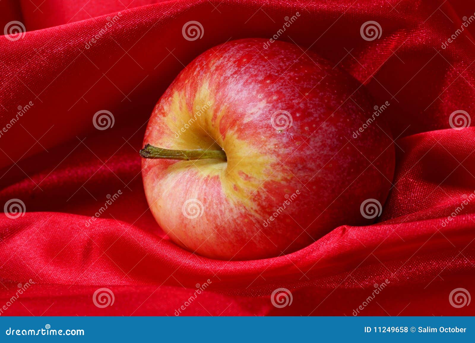 Red apple in cloth stock photo. Image of cloth, lunch - 11249658