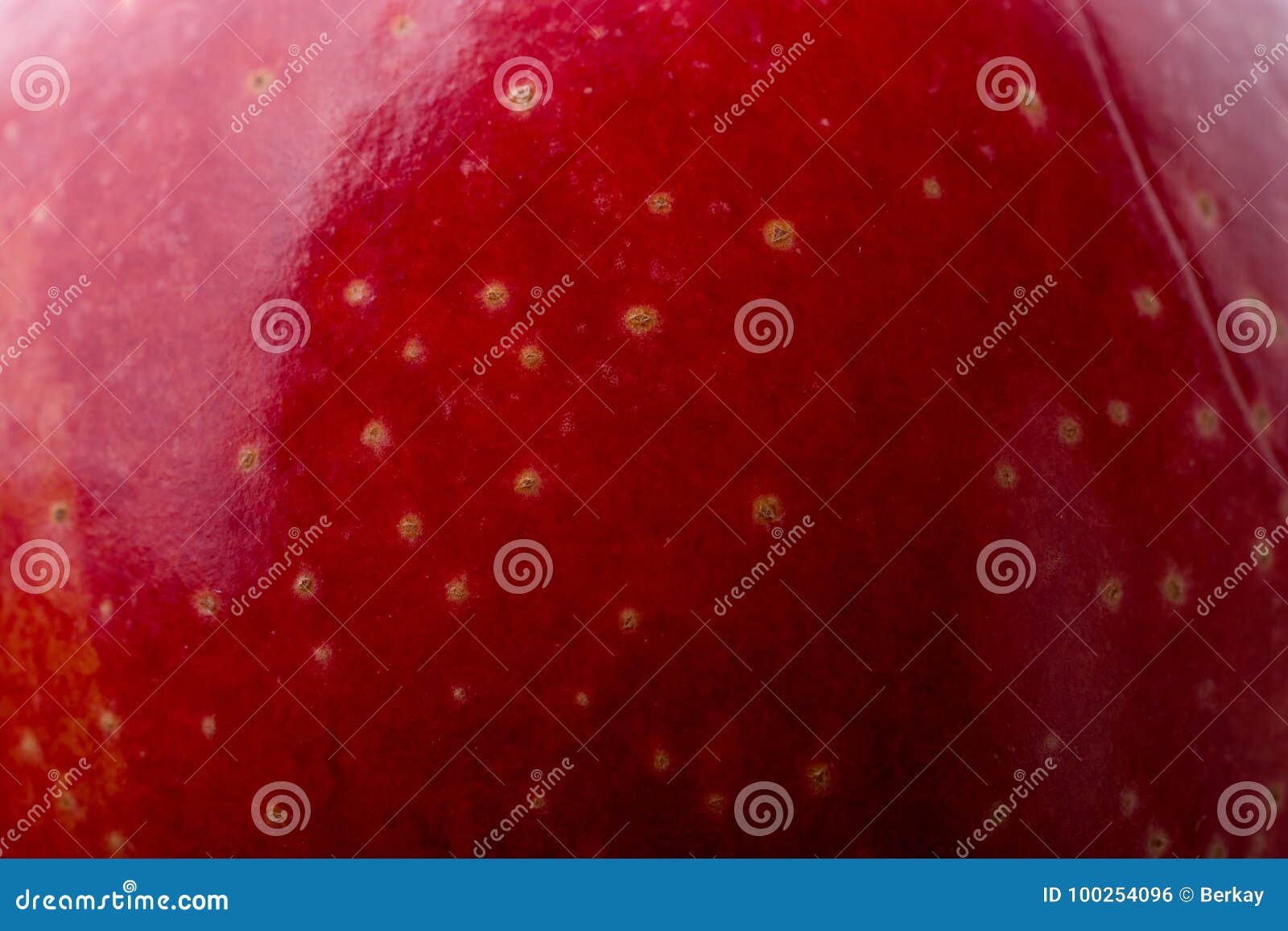 Fresh Red Apple with Dots in Close Up View Stock Photo - Image of ...
