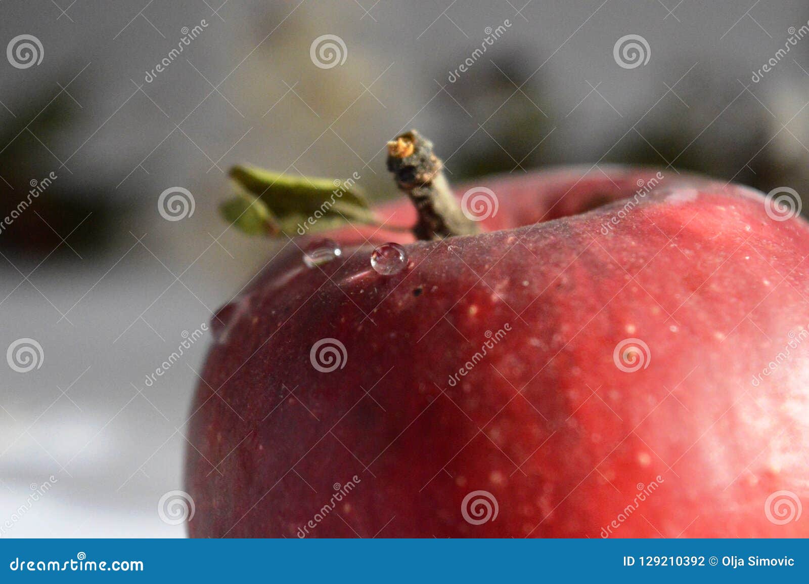 Red apple and drop stock photo. Image of fruit, food - 129210392