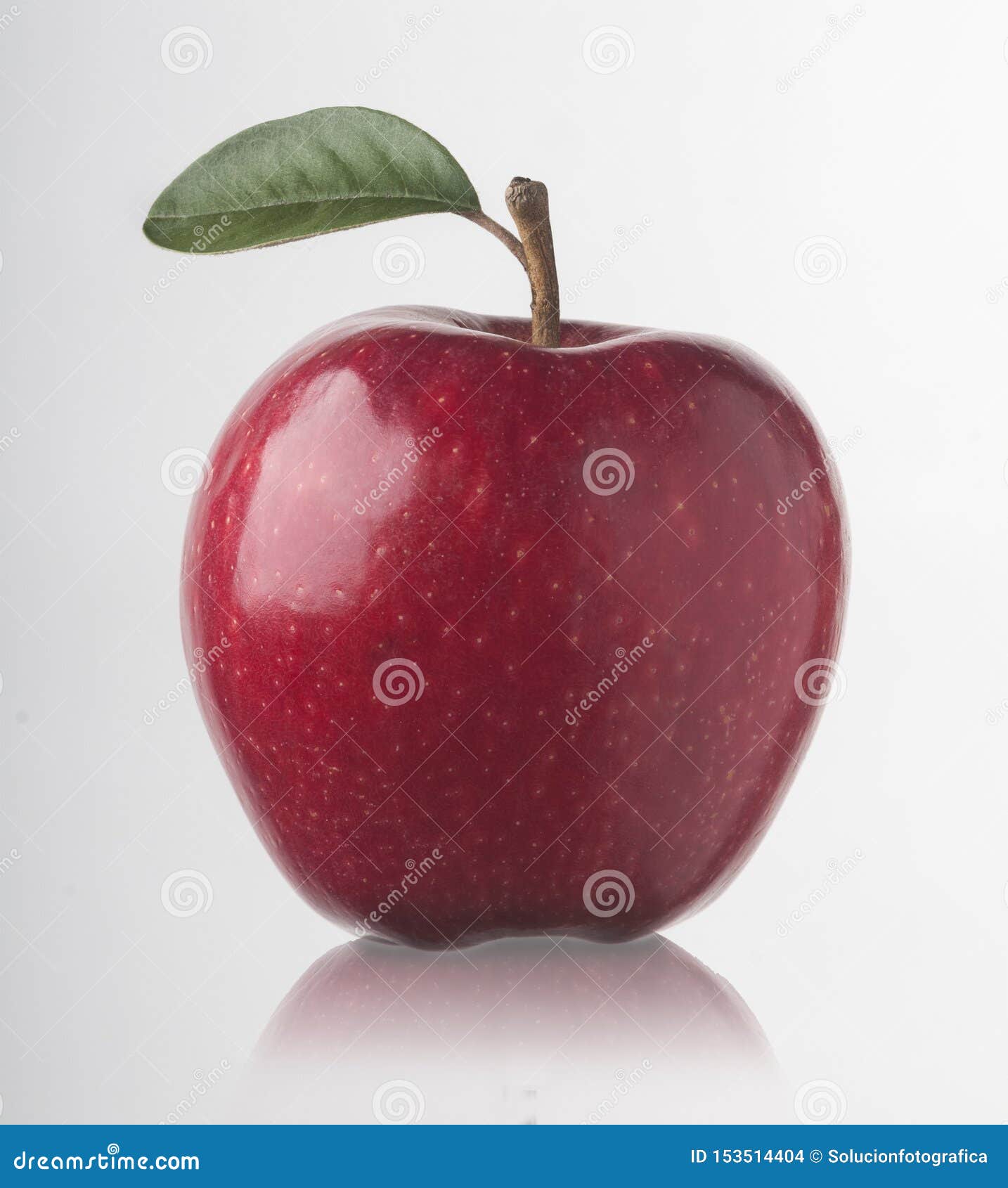 Red apple stock photo. Image of macro, fruit, adan, temptation - 153514404