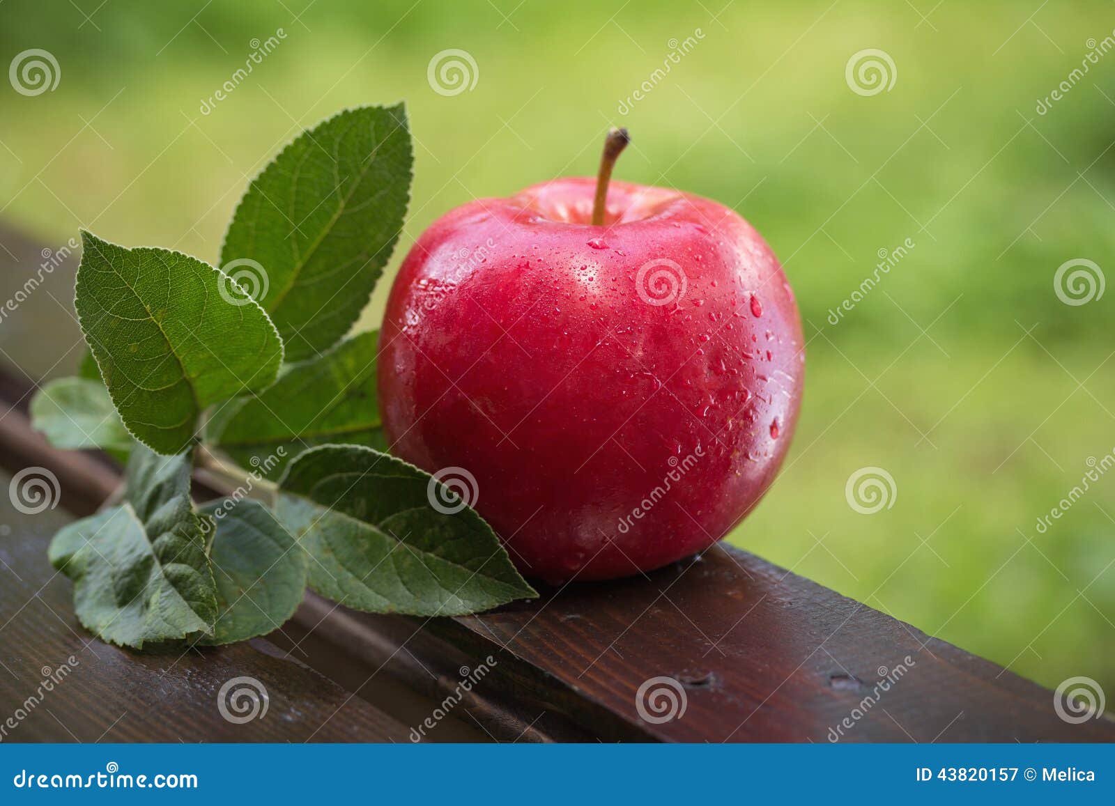 Red Apple stock image. Image of freshness, eating, countryside - 43820157