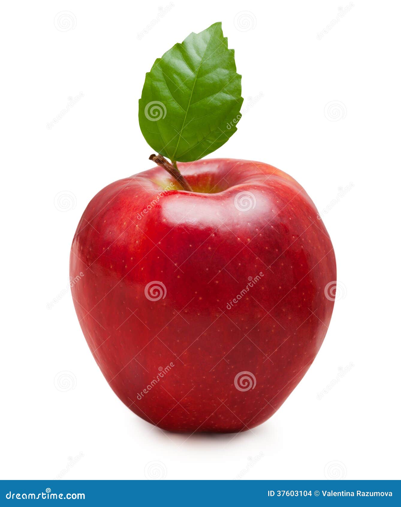 Red apple fruit stock photo. Image of healthy, concept - 37603104
