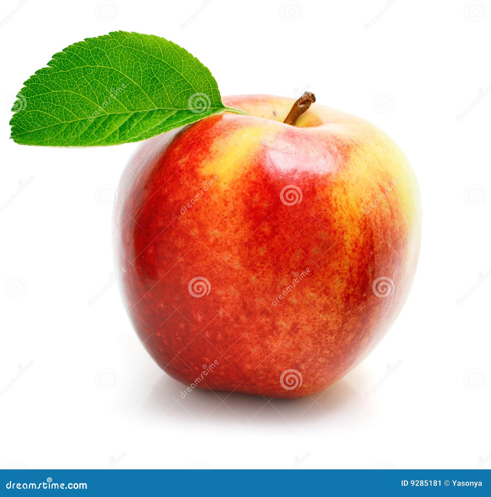 Single Fruit Apple