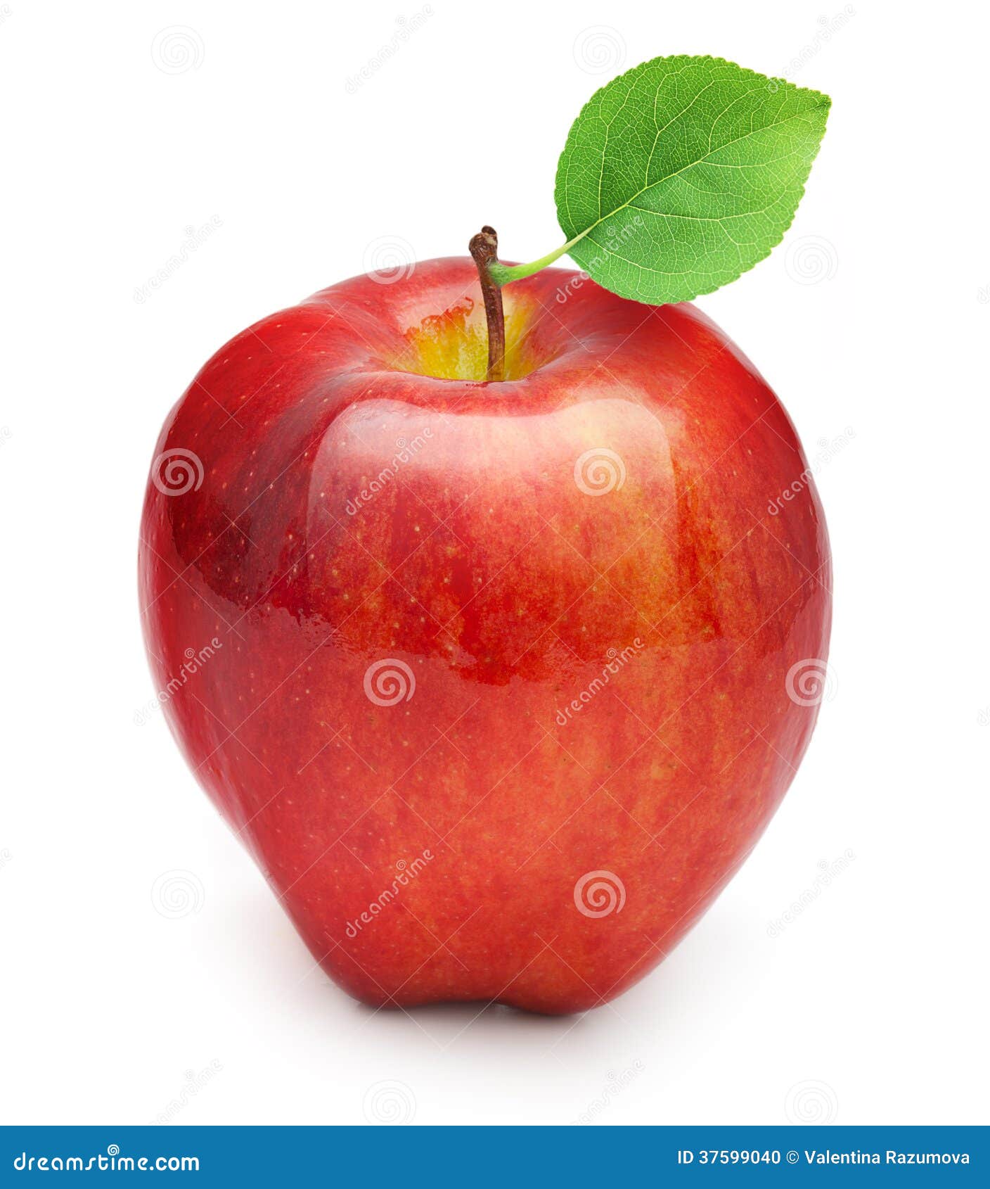 Red apple fruit with leaf stock photo. Image of agriculture - 37599040