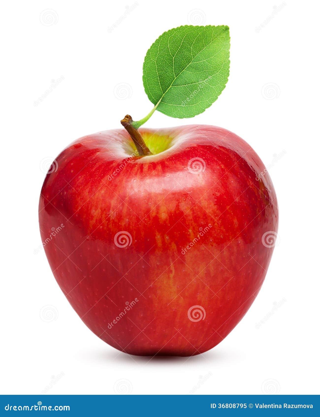 Red apple fruit with leaf stock image. Image of color - 36808795