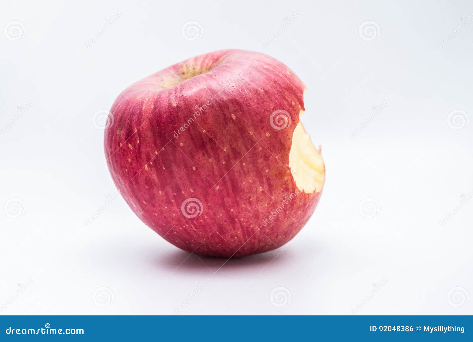 Red Apple with Fruit Protection Foam Stock Photo - Image of white ...