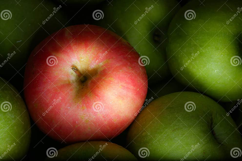 Red Apple among Green Apples Stock Image - Image of fluite, shadow ...