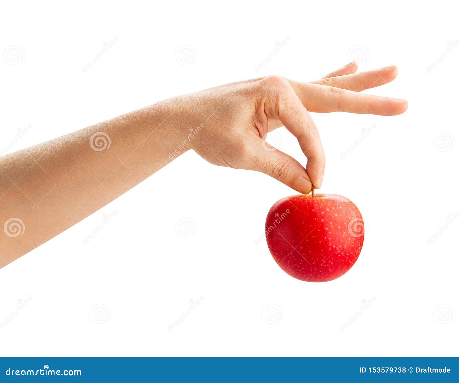 Red apple in hand stock photo. Image of shiny, closeup - 153579738