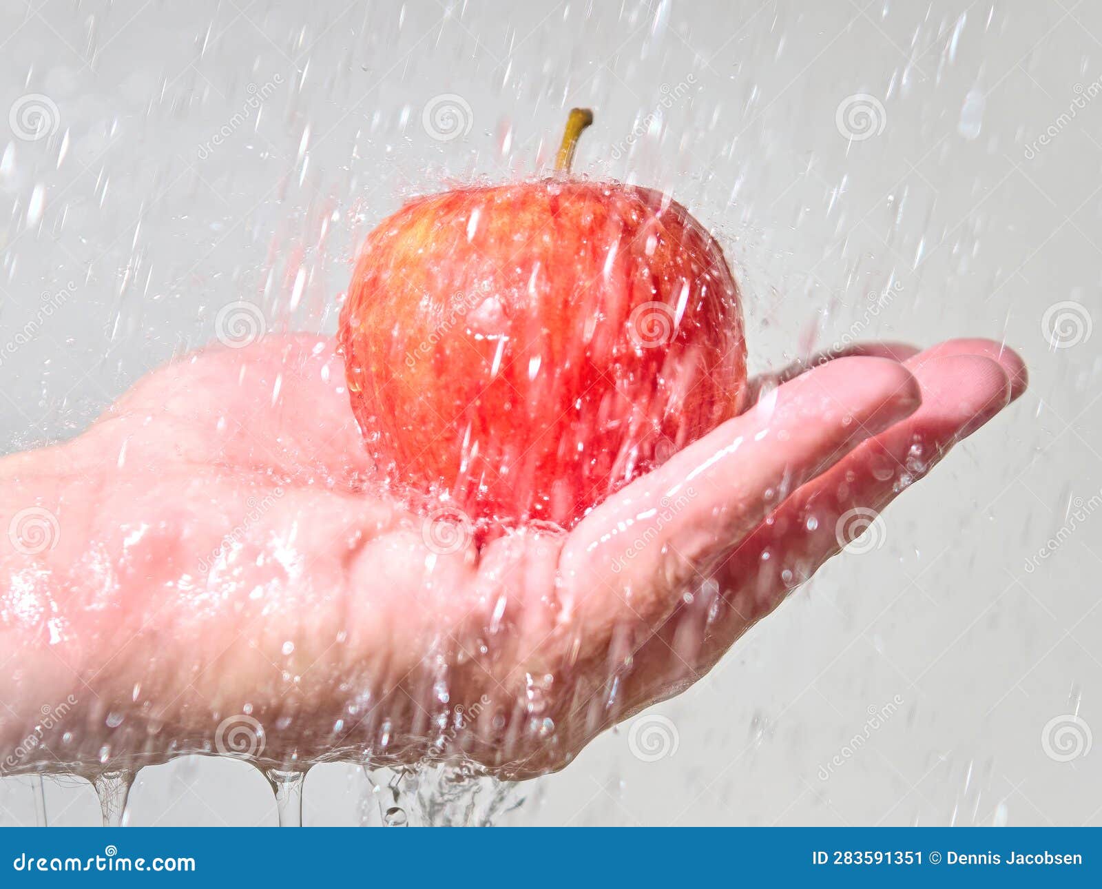 Red apple in rain stock image. Image of fruit, apple - 283591351