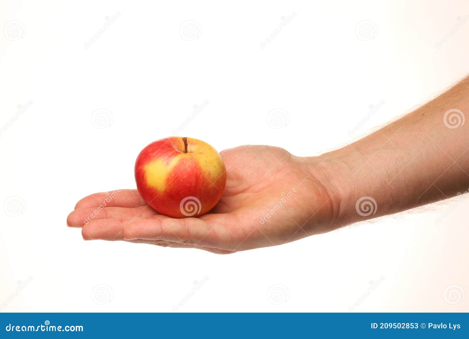 Red Apple in Hand on a White Background Isolate Stock Image - Image of ...