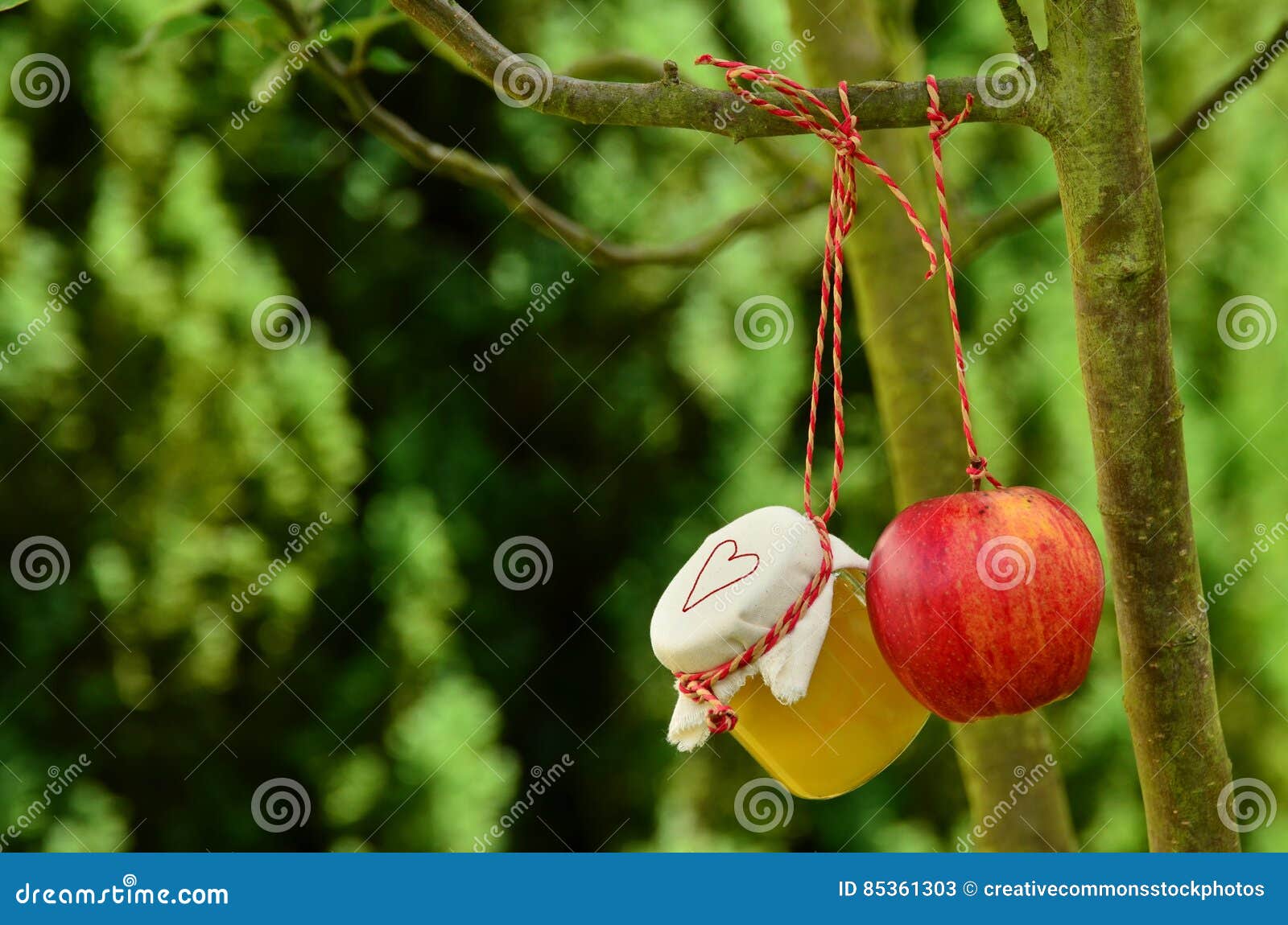 Red Apple Hanging On Tree At Daytime Picture. Image: 85361303