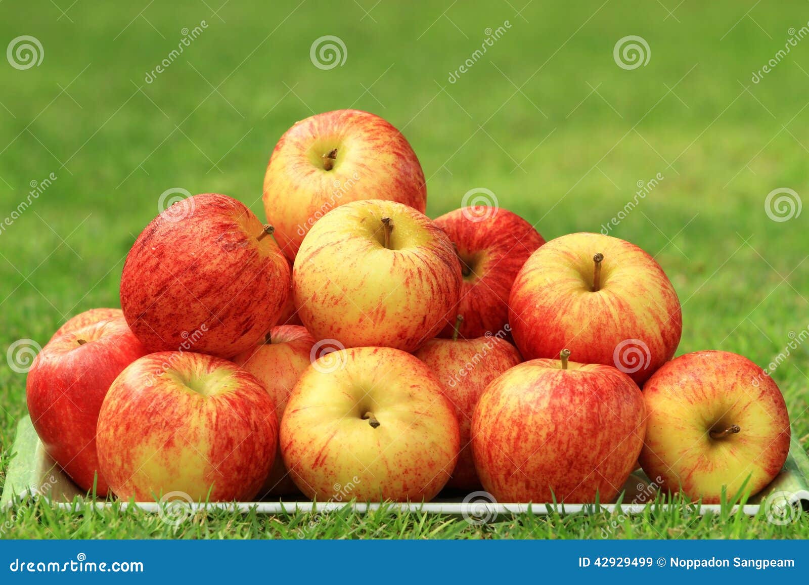 Red Apple Heap on the Grass. Stock Image - Image of small, healthy ...