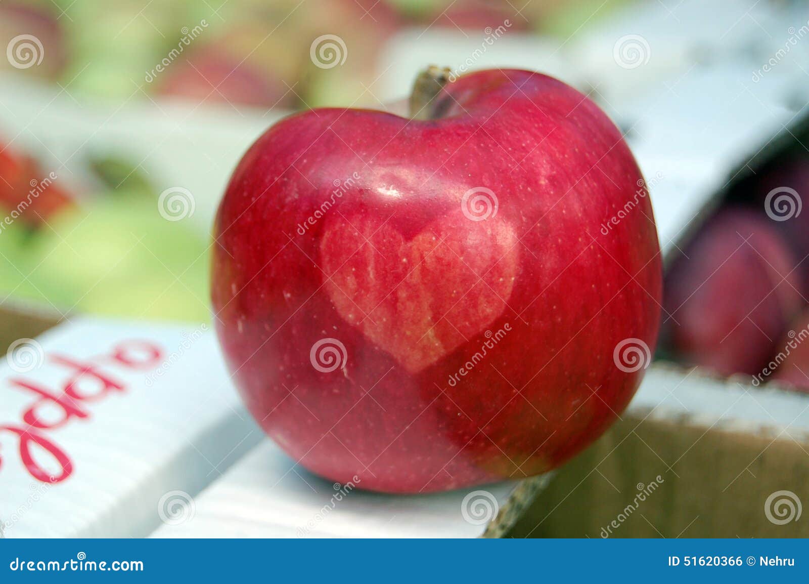Red apple heart stock photo. Image of healthy, valentine - 51620366