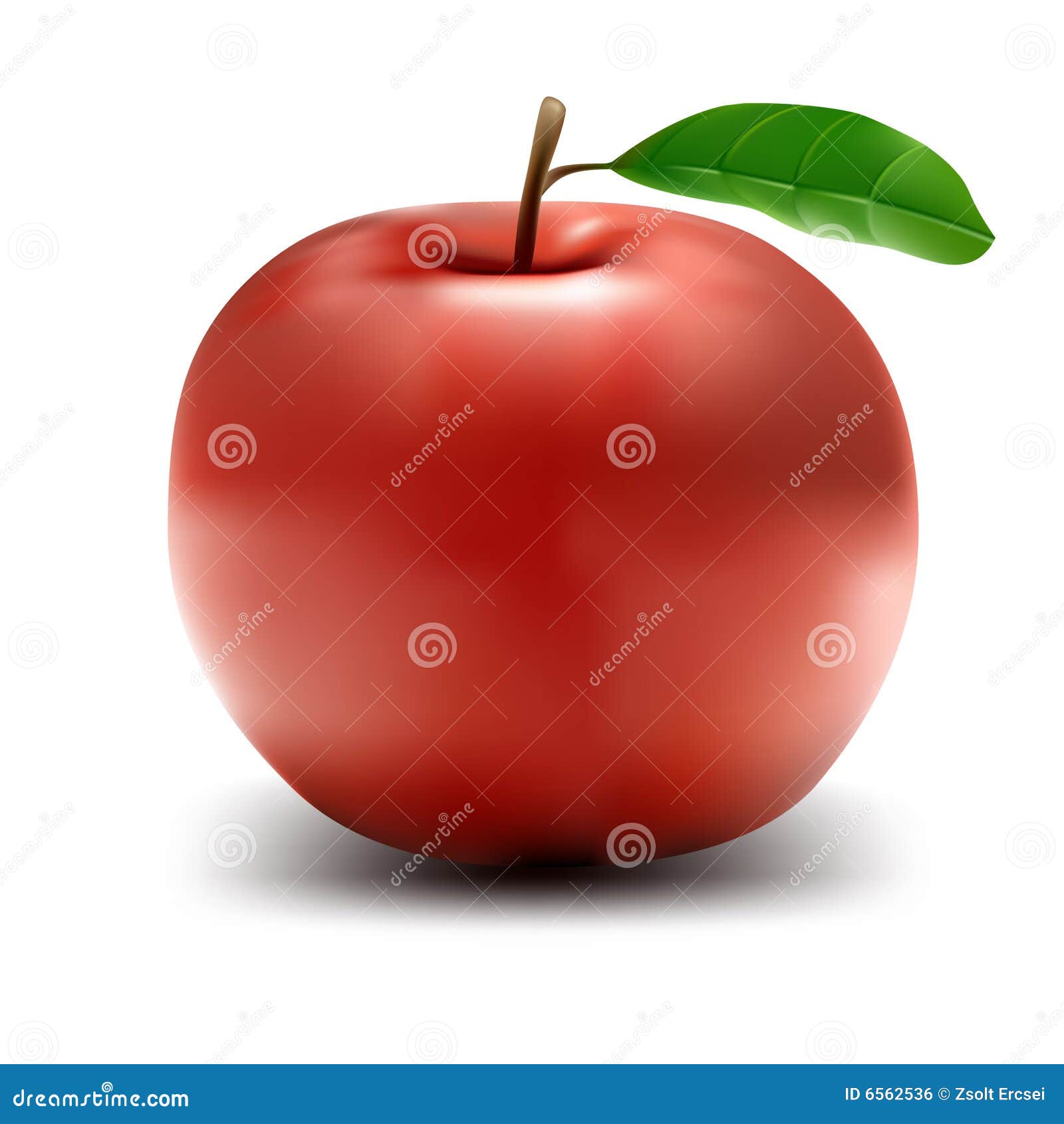 Red Apple - High Res Drawn in Vector Stock Vector - Illustration of ...