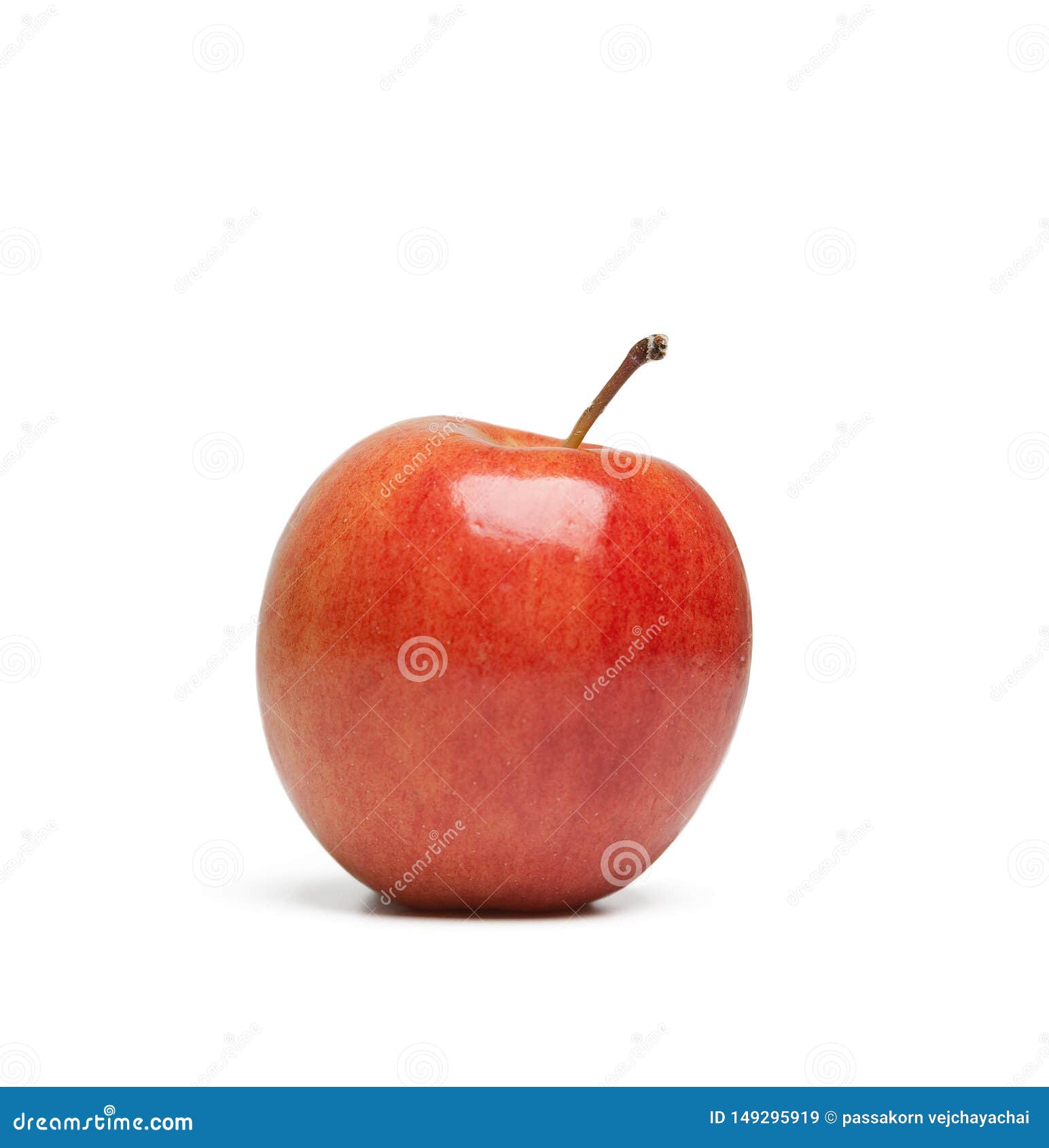 Red apple isolated stock image. Image of garden, color - 149295919