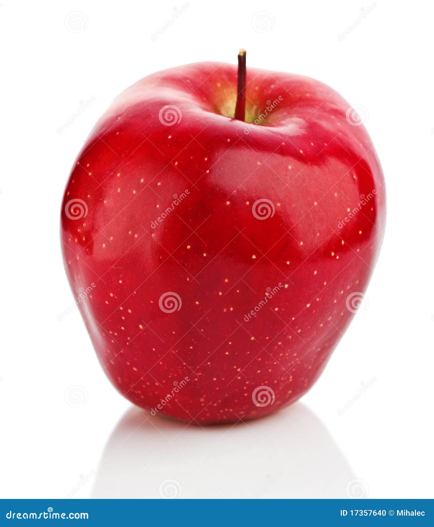 Red apple isolated stock photo. Image of stem, close - 17357640
