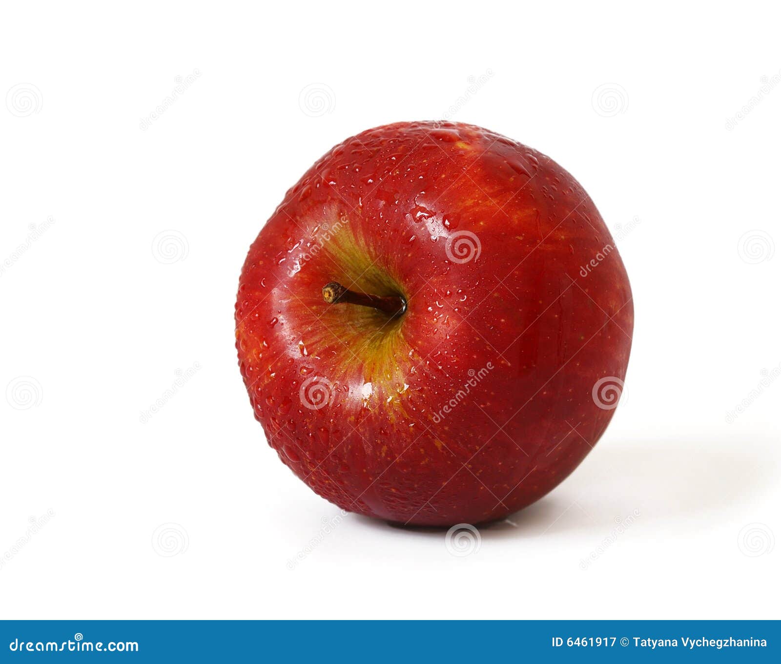Red apple isolated stock image. Image of isolated, healthy - 6461917