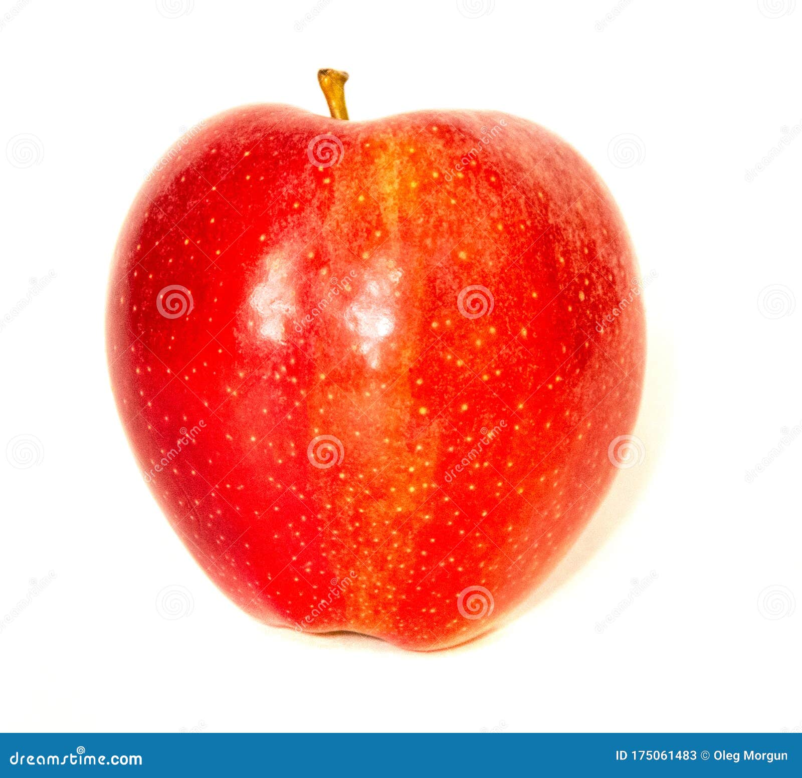 Red apple stock image. Image of healthy, fresh, white - 175061483