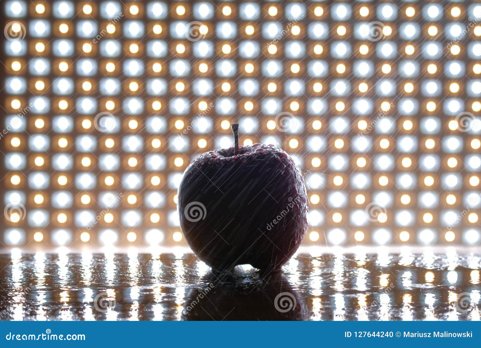 Red apple stock photo. Image of apple, reflection, underneath - 127644240