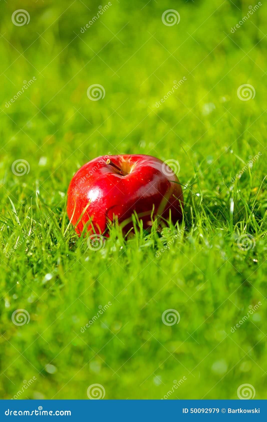 Red Apple Laying Down on the Grass Stock Image - Image of delicious ...