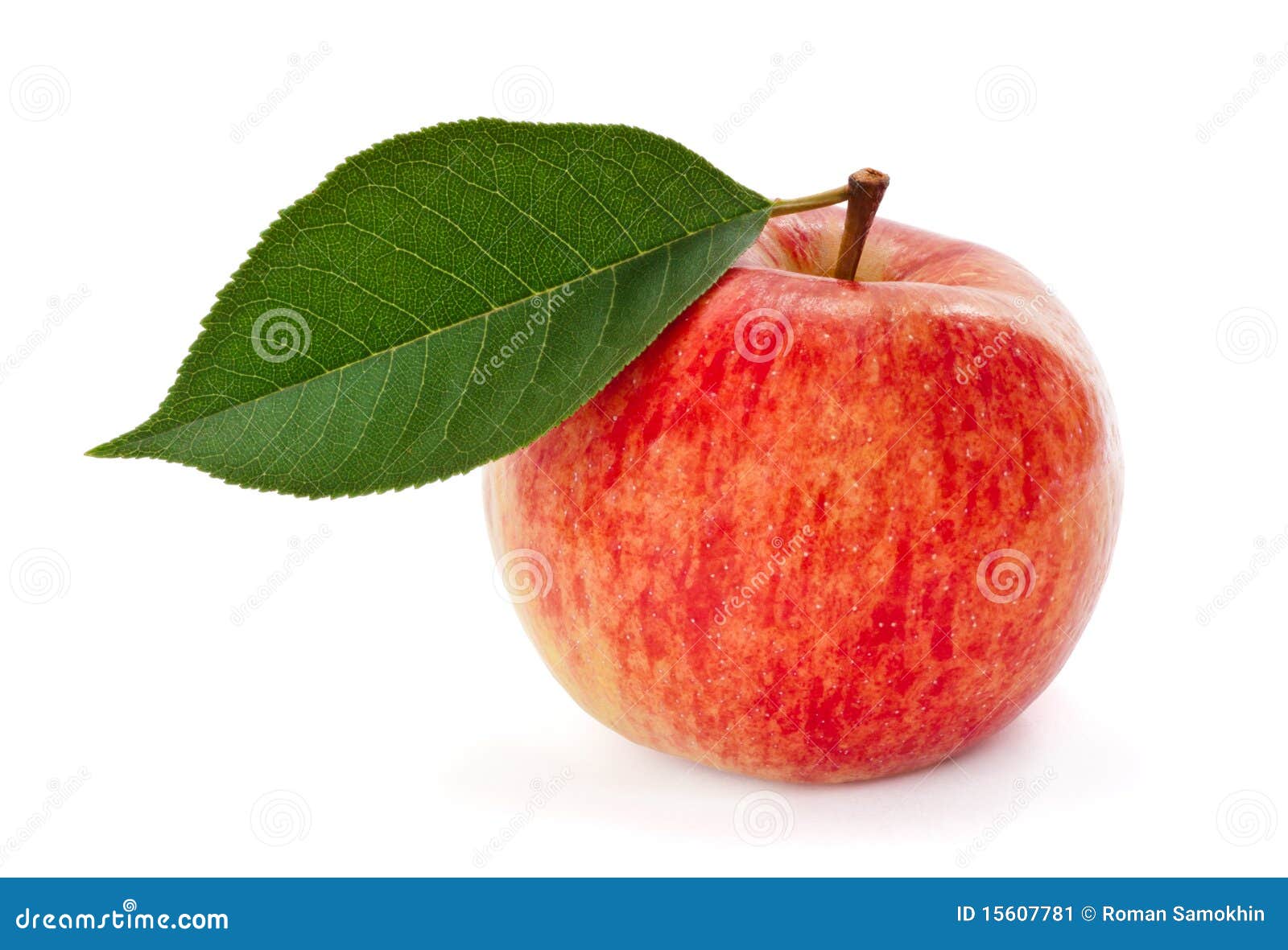 Red apple with leaf stock image. Image of fresh, bright - 15607781