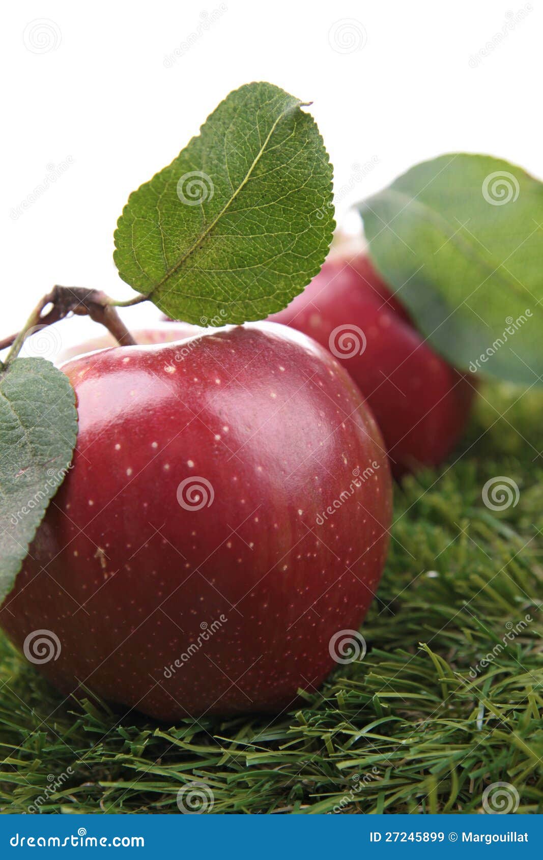 Red apple and leaf stock image. Image of food, agriculture - 27245899