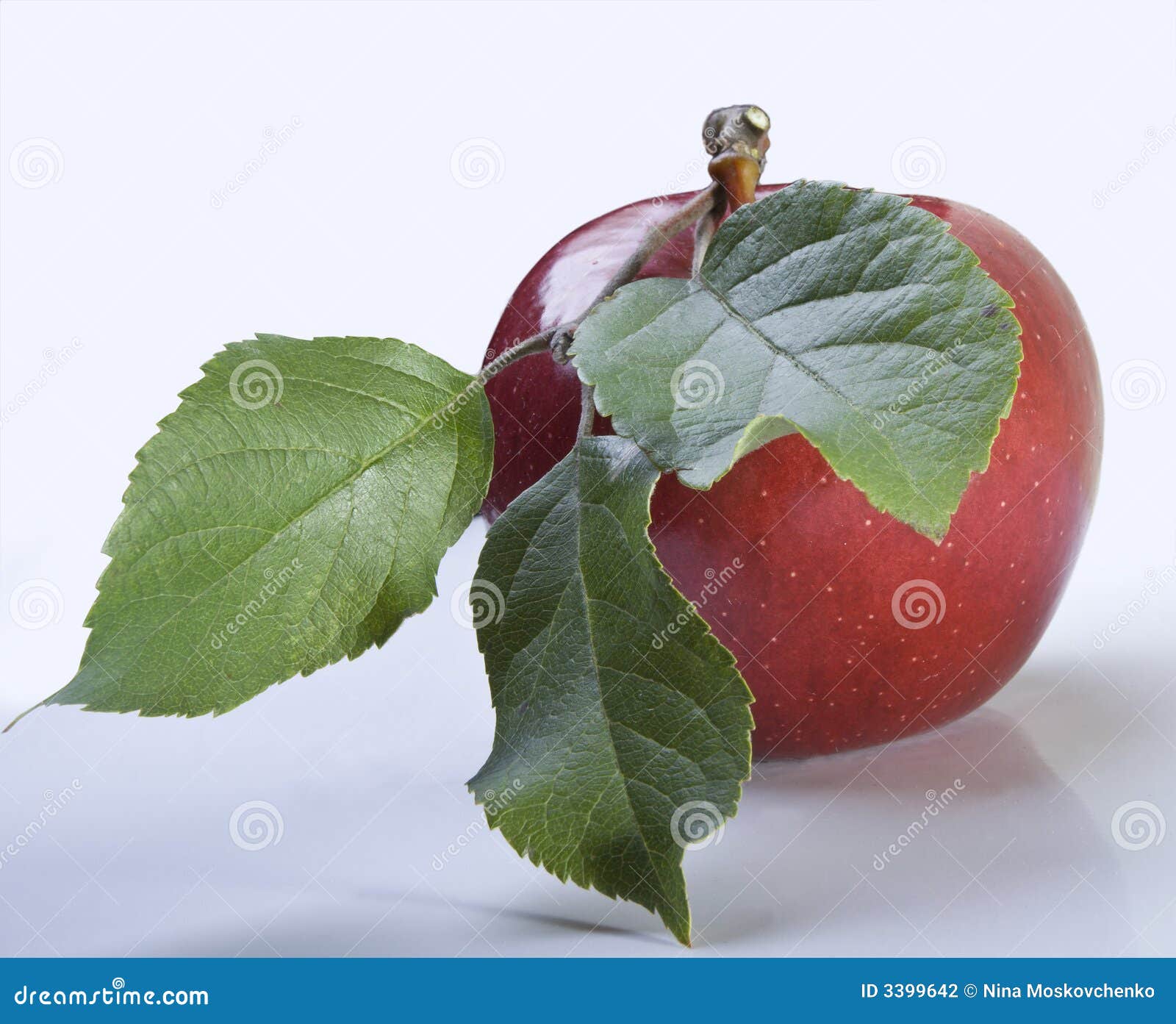 Red apple with leaf stock photo. Image of nourishment - 3399642