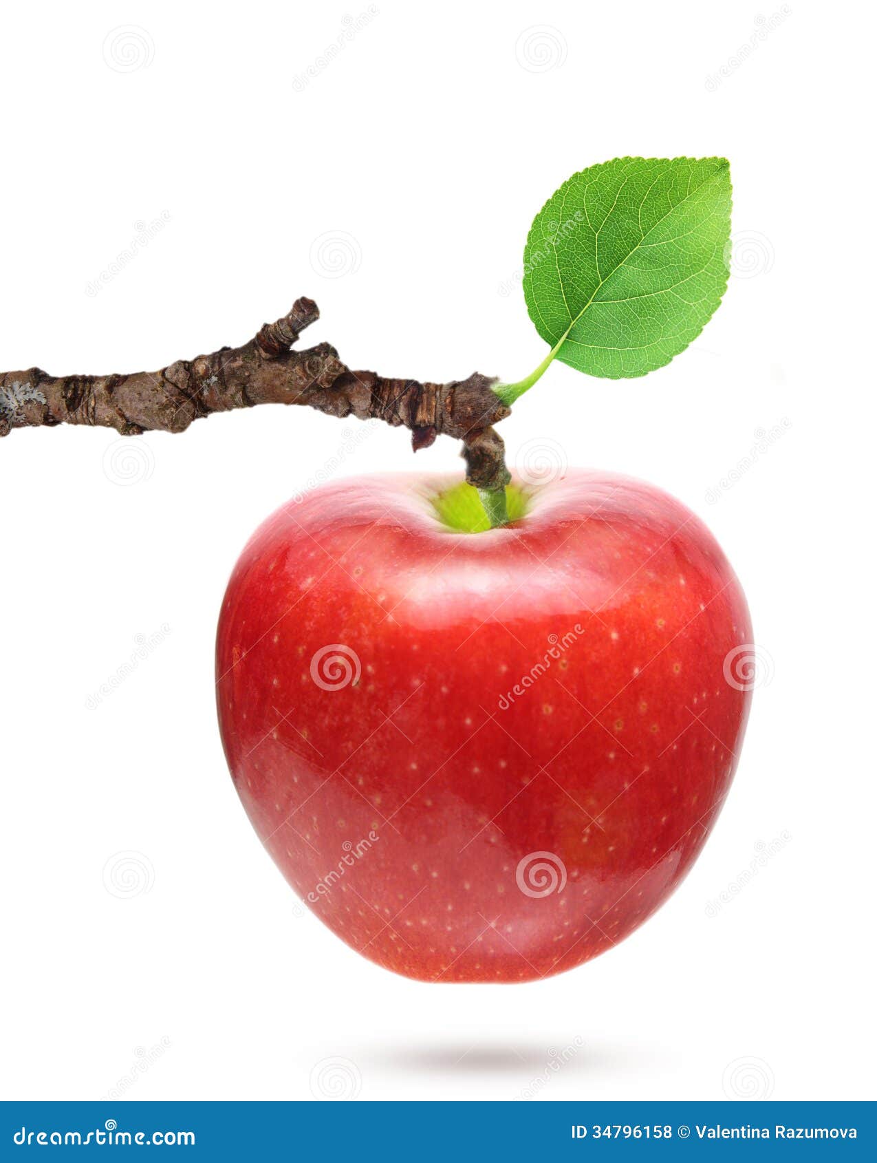 Red apple. stock photo. Image of concept, perfect, color - 34796158