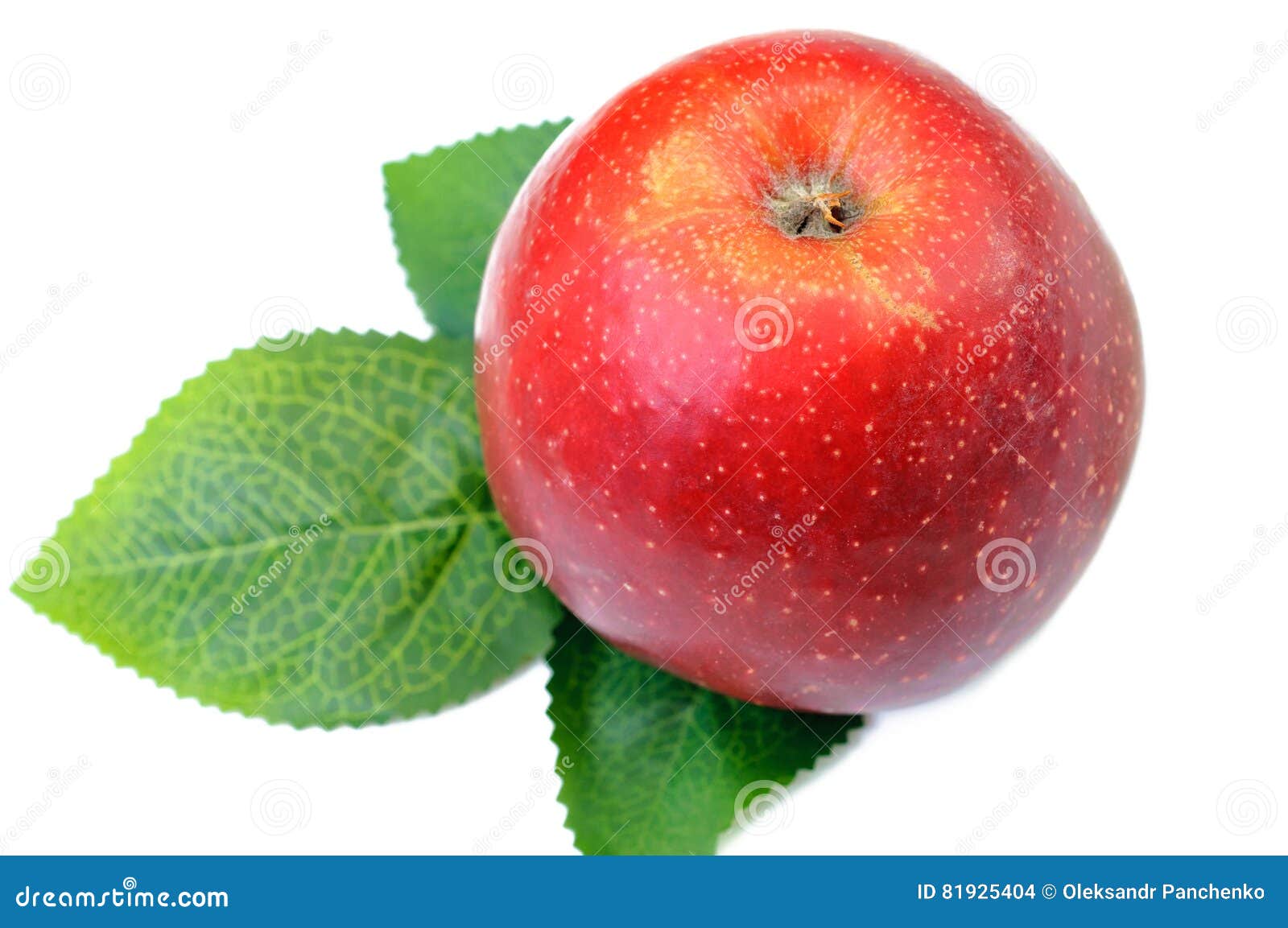 Red Apple with Leaf Isolated Stock Photo - Image of apple, seed: 81925404