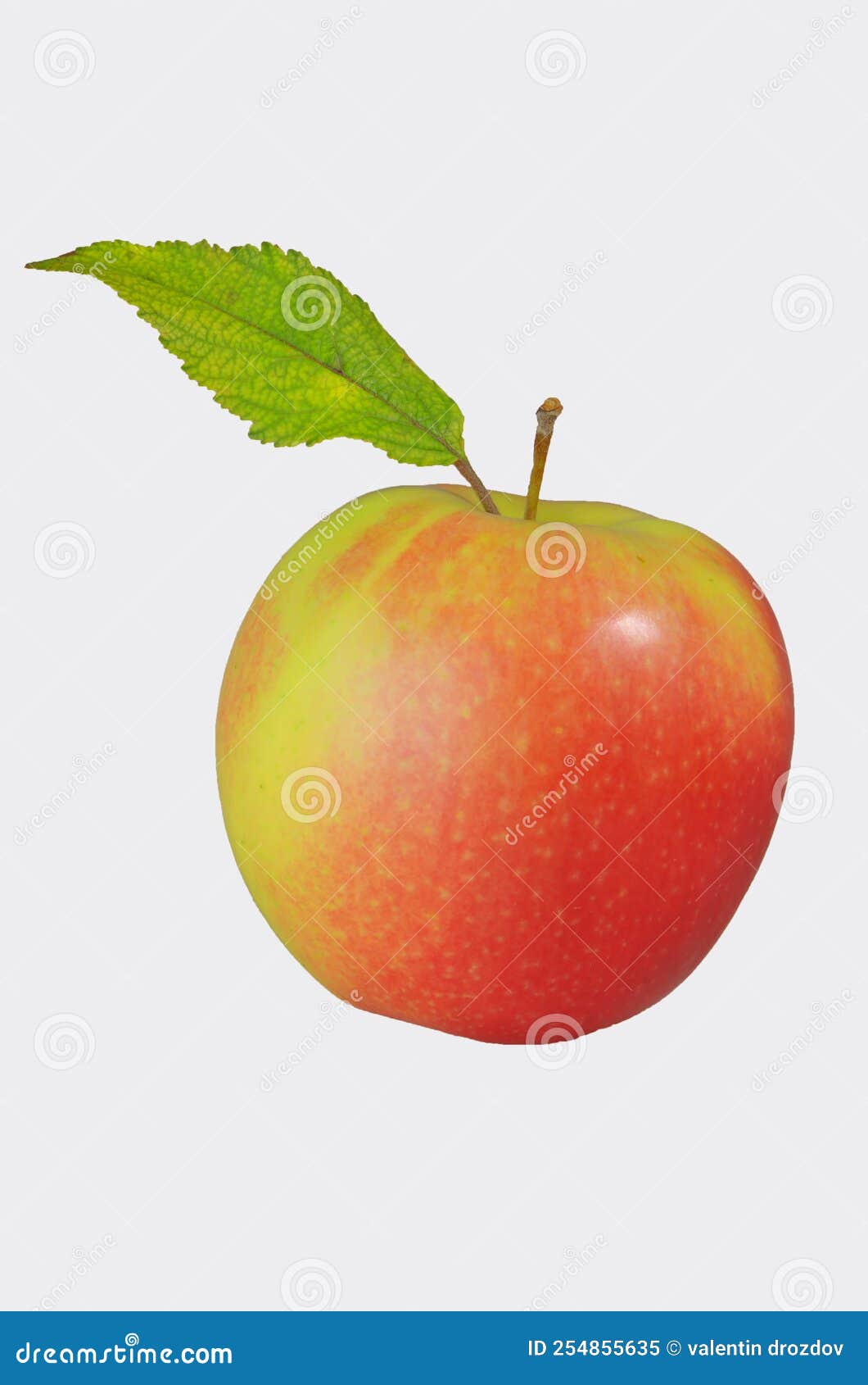 Red Apple with Leaf Isolated Stock Image - Image of product, fruit ...