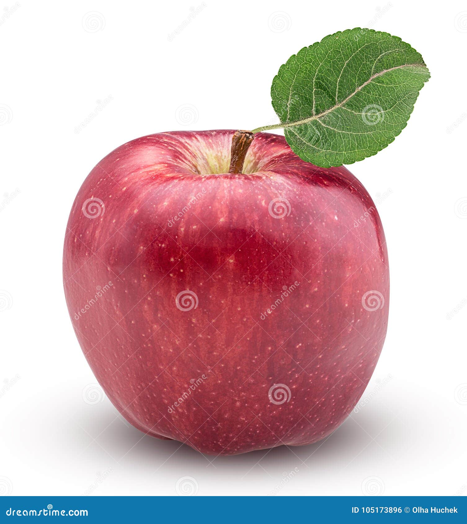 Red apple with leaf stock photo. Image of fresh, ripe - 105173896
