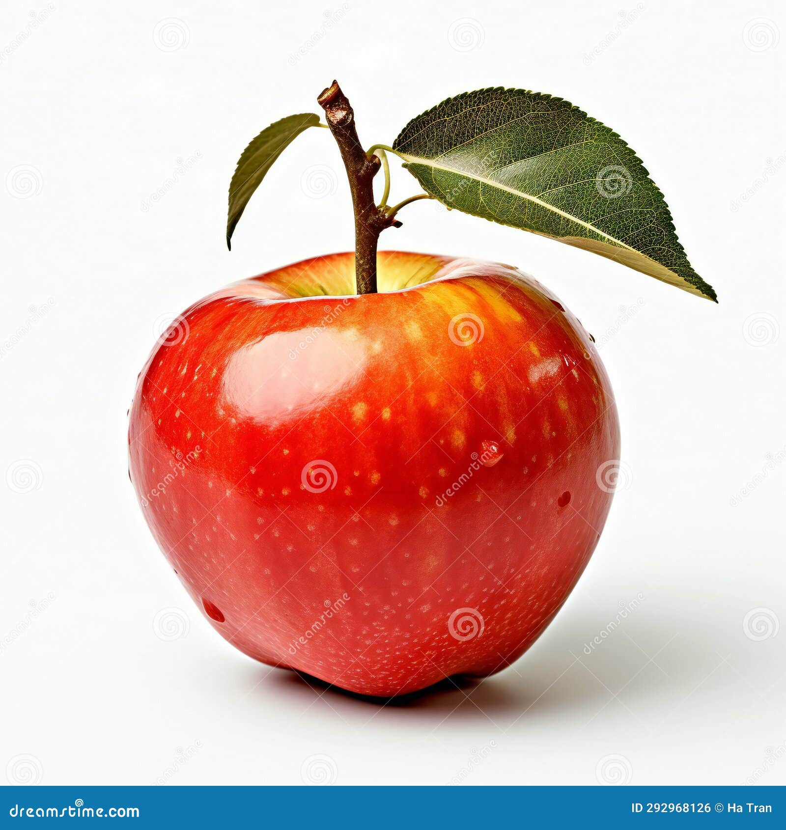 Red Apple with Leaf Isolated on White Background Stock Illustration ...