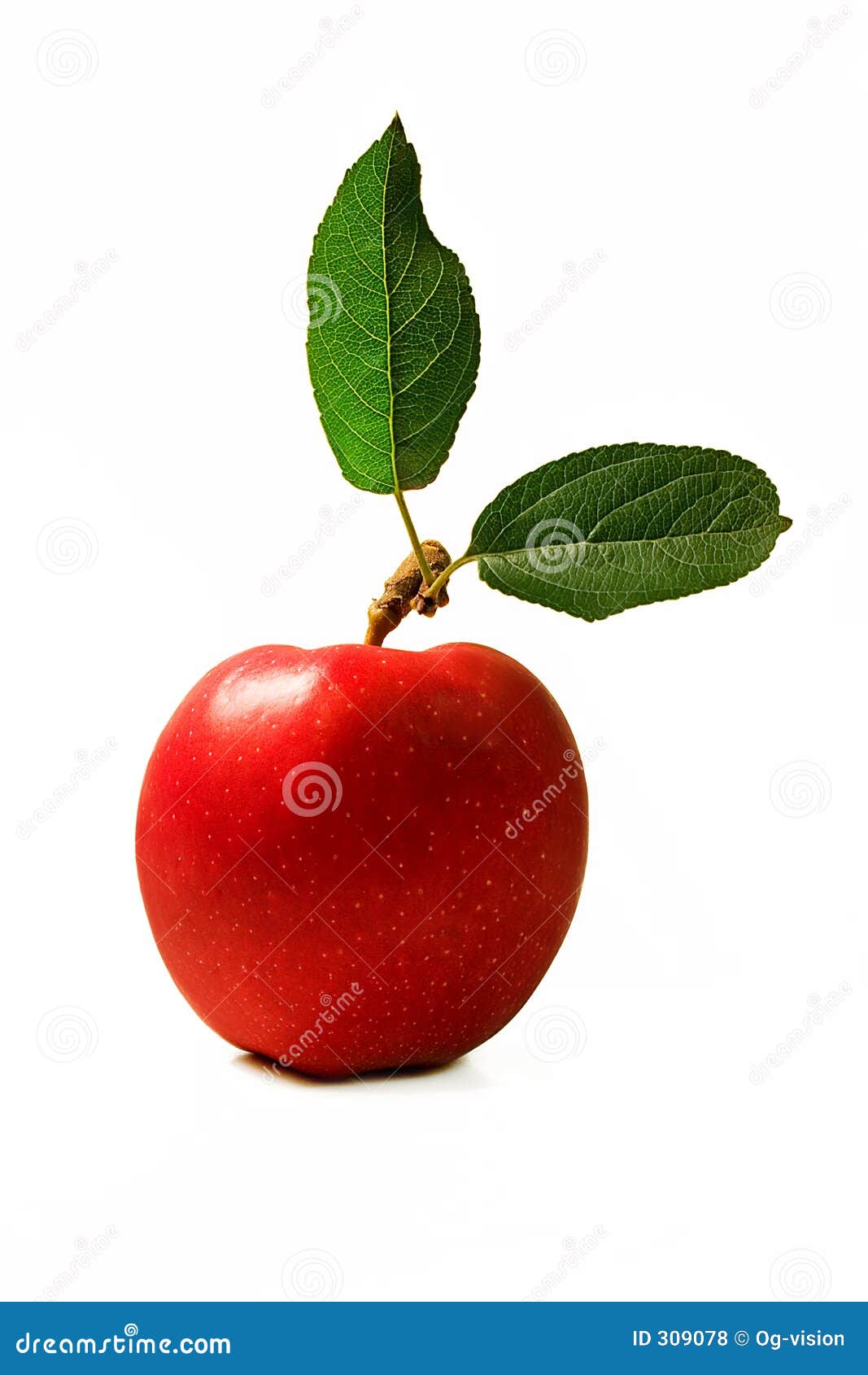 Red apple with leaves stock photo. Image of isolated, vitamin - 309078