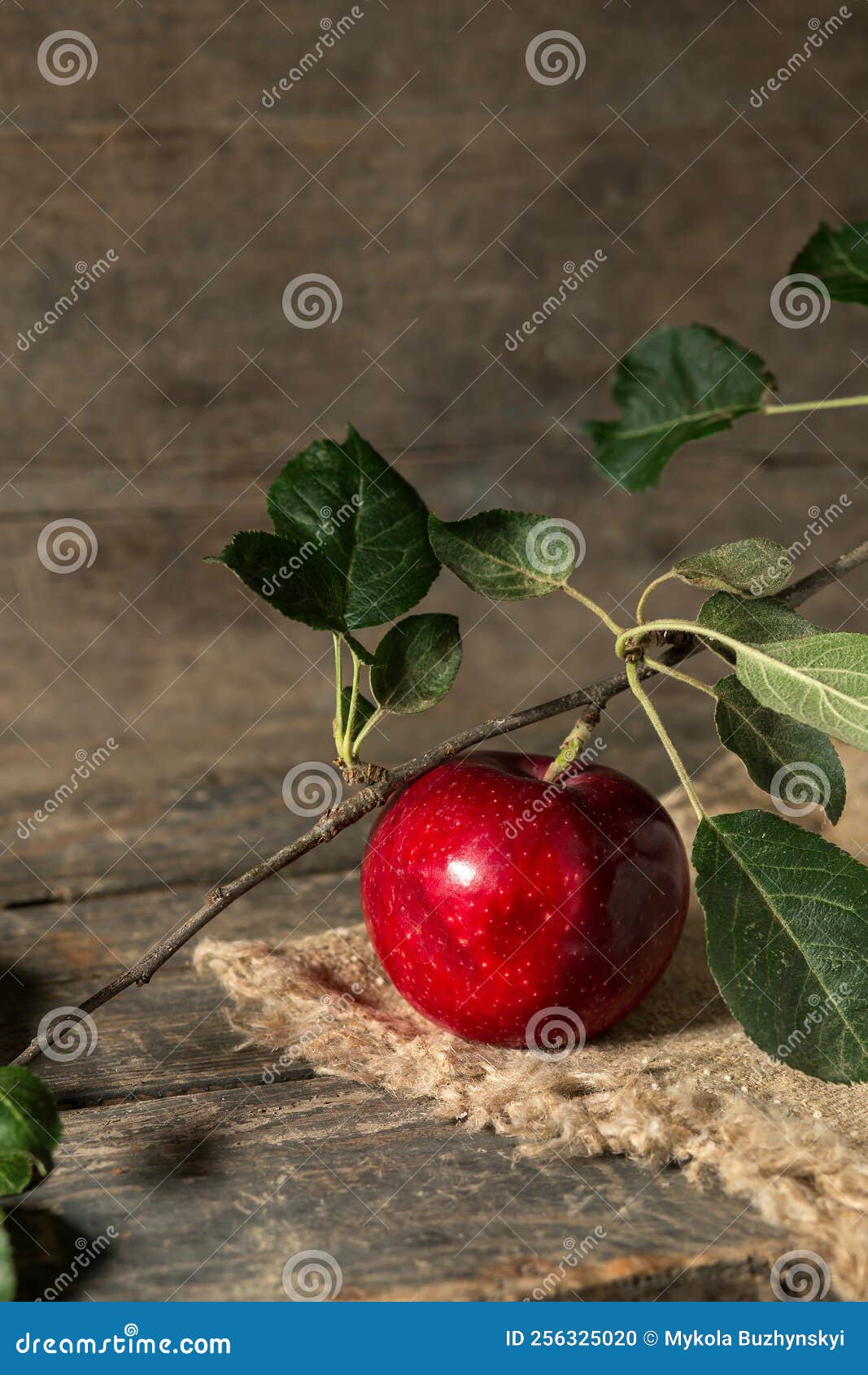 Red Apple with Leaves on Burlap on Wooden Boards Stock Photo - Image of ...