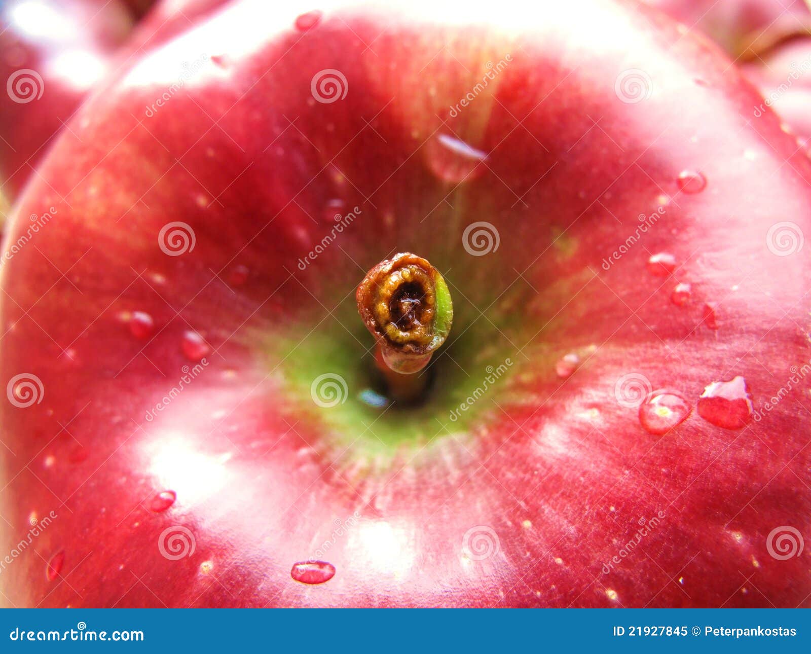 Red apple, macro stock image. Image of fresh, apple, pure - 21927845