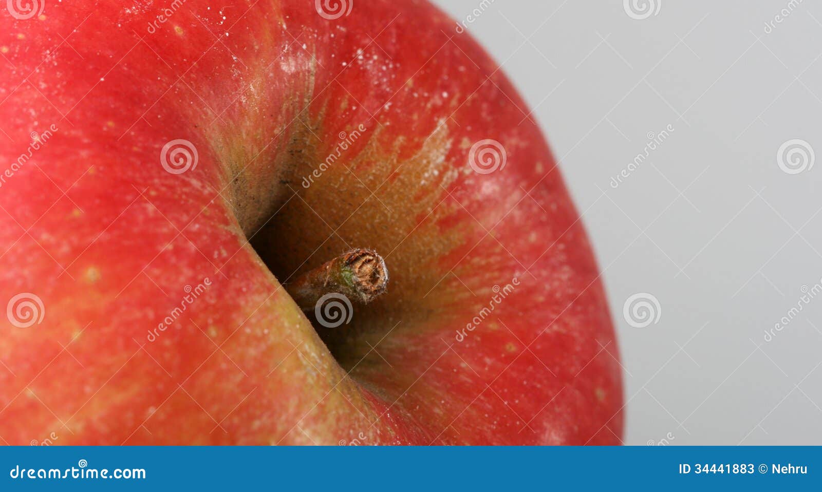 Red apple, macro stock image. Image of natural, extreme - 34441883