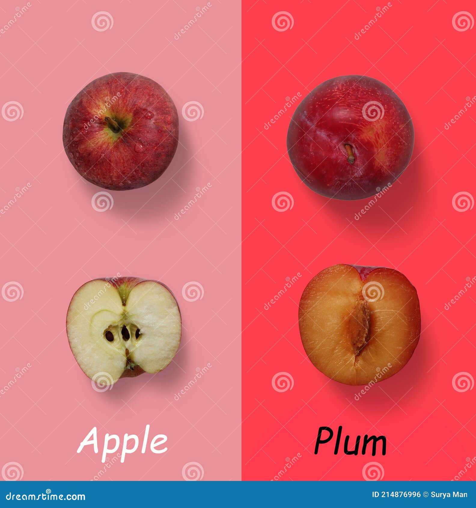 Red Apple and Plum Fruits High Resolution Stock Photo - Image of ...