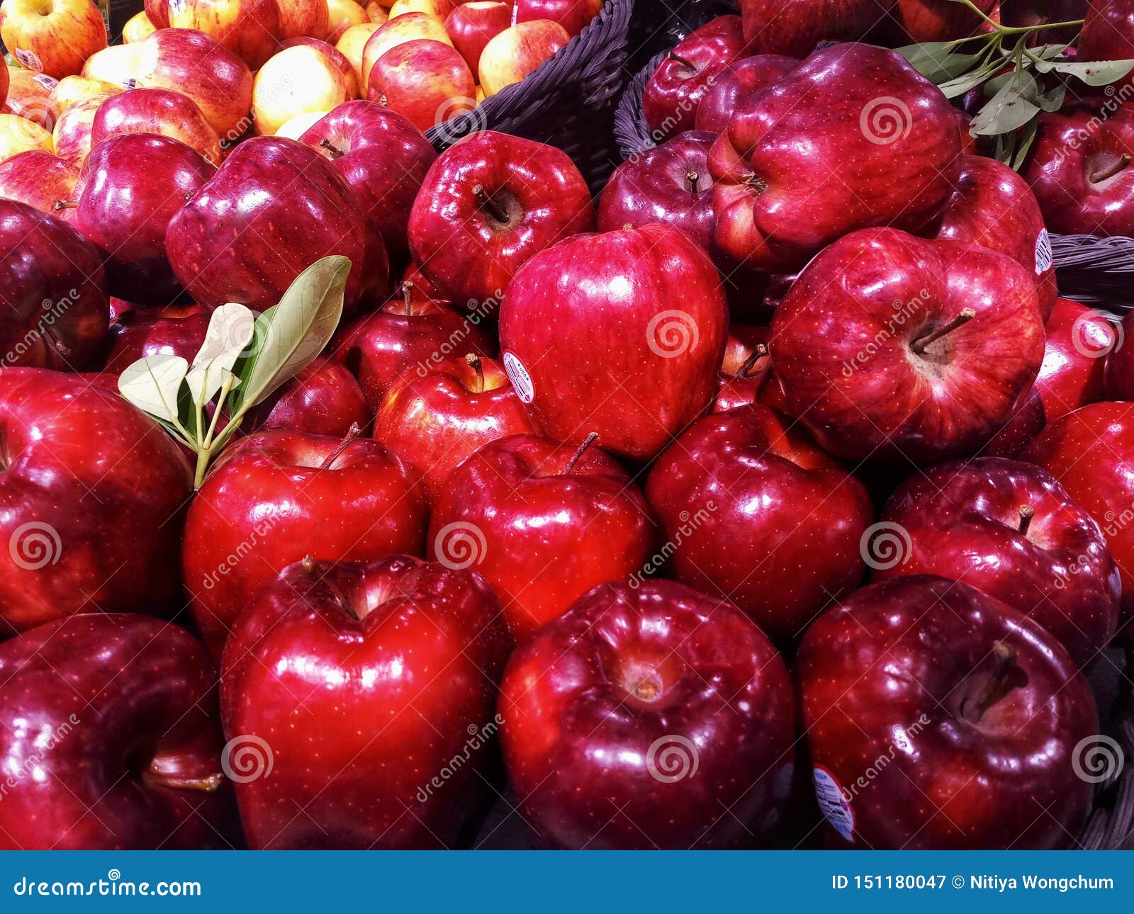 Red apple stock image. Image of food, vitamin, fruit - 151180047