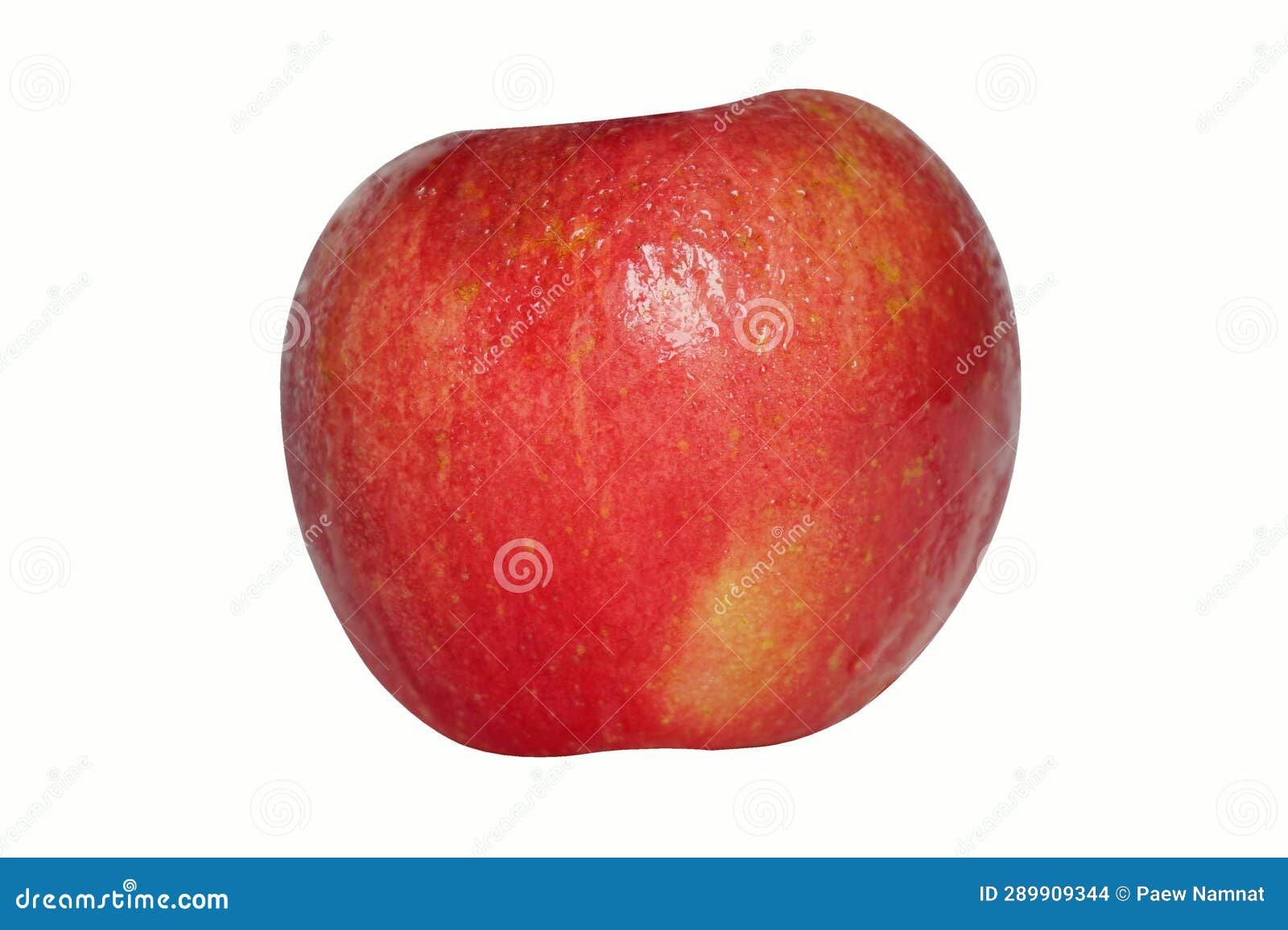 Red apple stock photo. Image of nutrition, dish, garden - 289909344