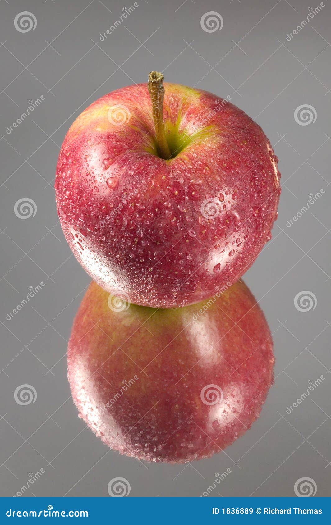 Red apple reflected stock image. Image of lady, apple - 1836889