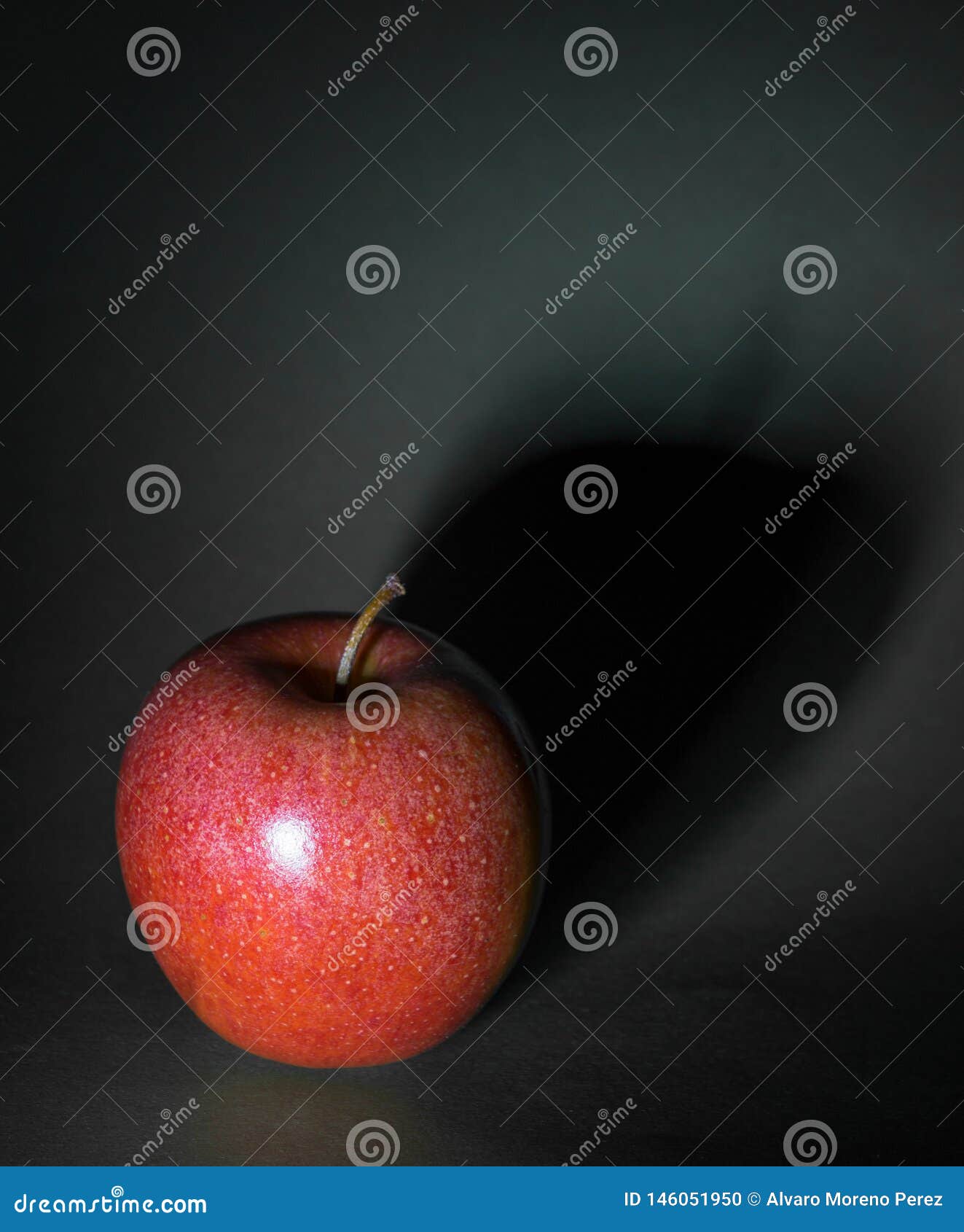 Red apple with shadow stock photo. Image of ripe, vegetarian - 146051950