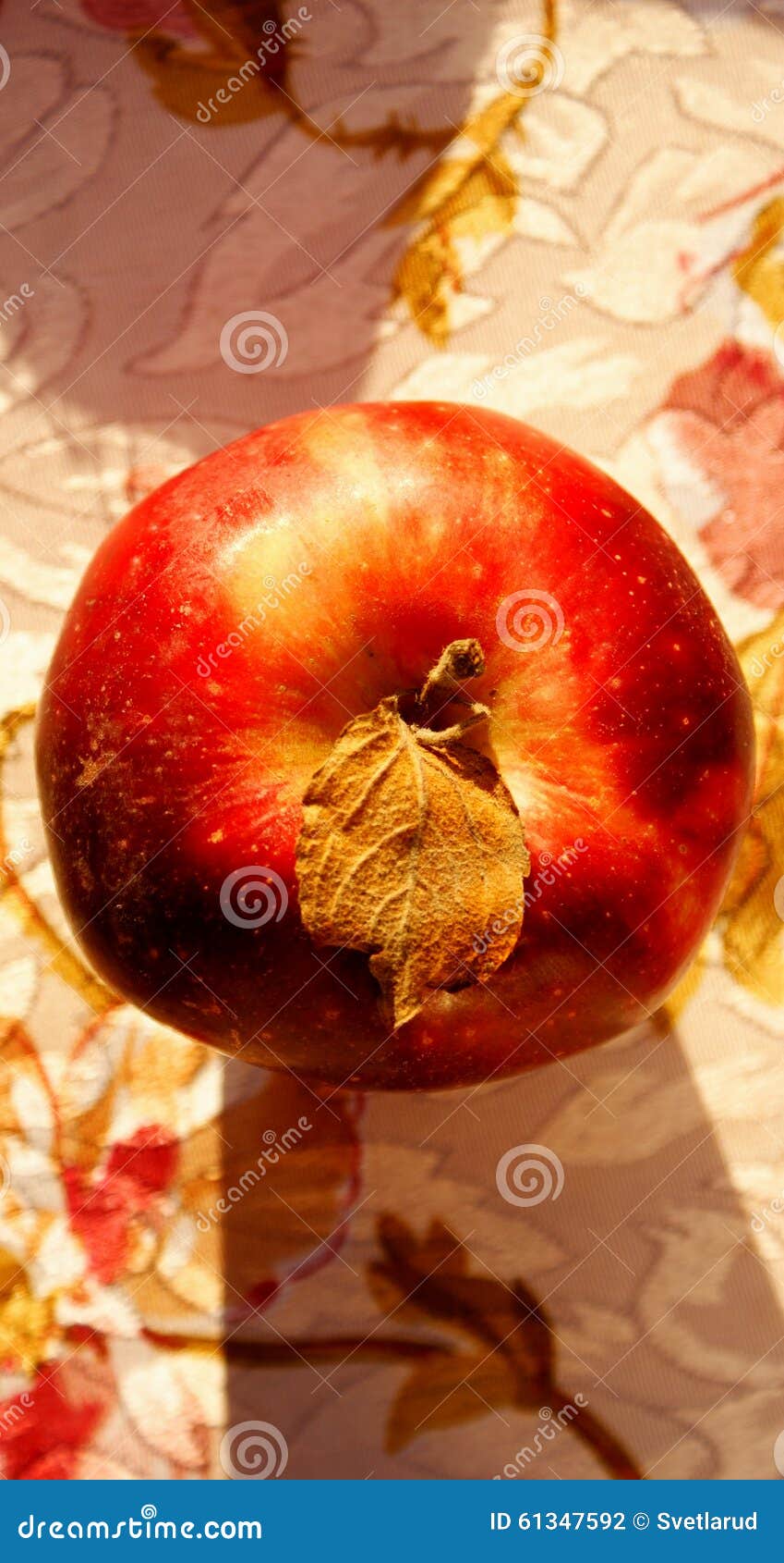 Red apple on the table stock photo. Image of harvest - 61347592