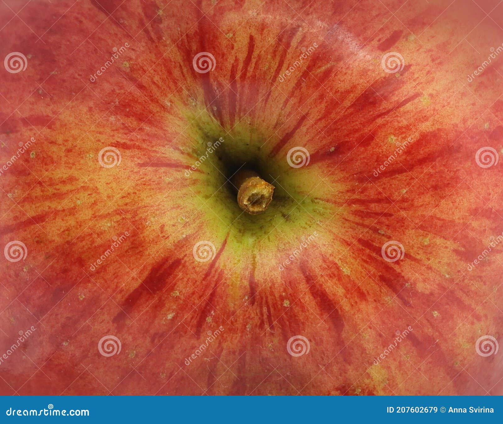 Red apple, top view stock image. Image of autumn, fruit - 207602679