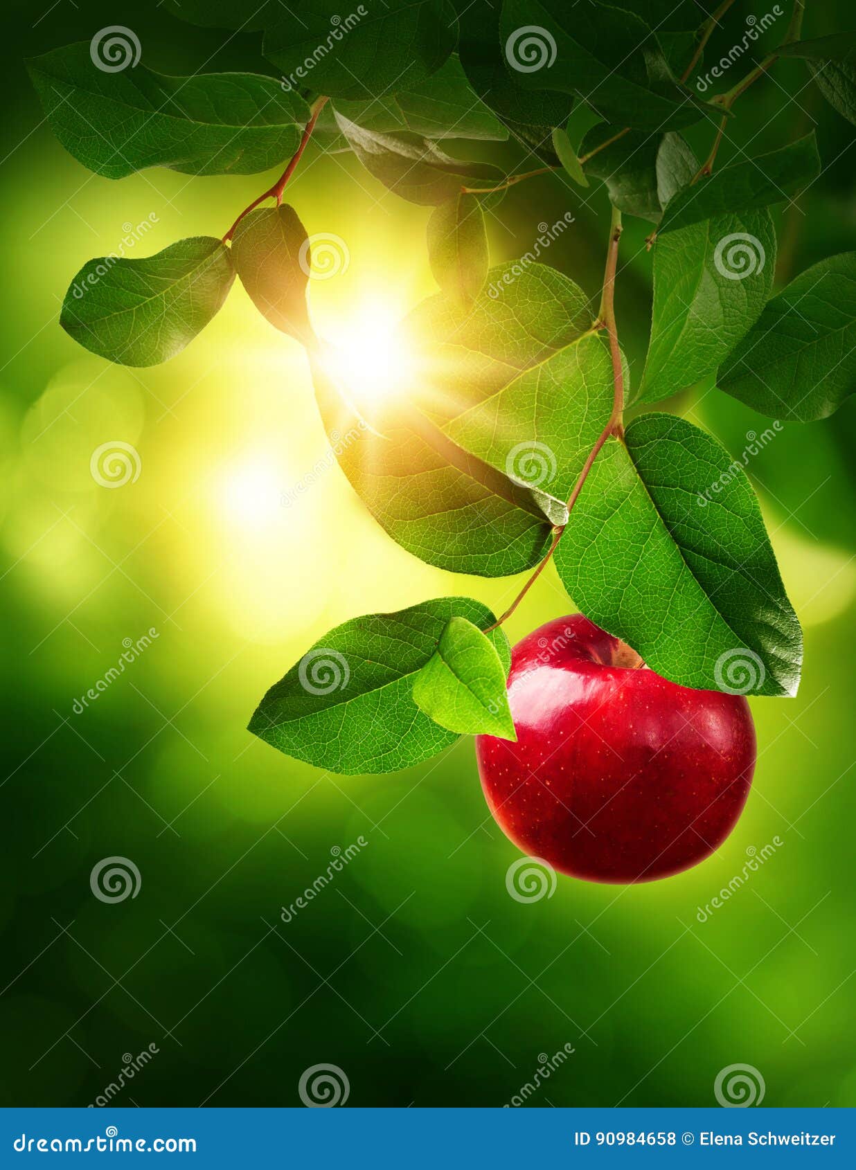 Apple Of Eden Real