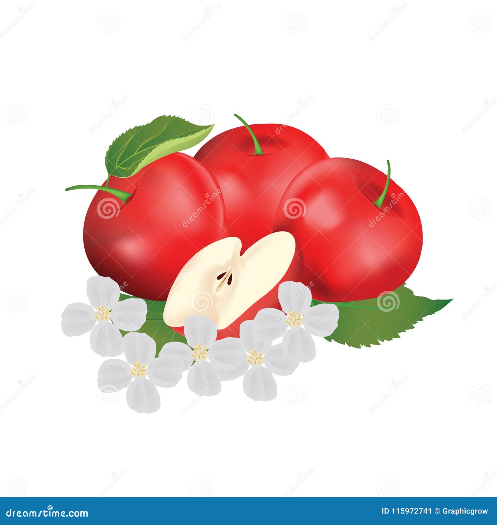 Red Apple Vector Illustration with Leaf and Flower Stock Vector ...